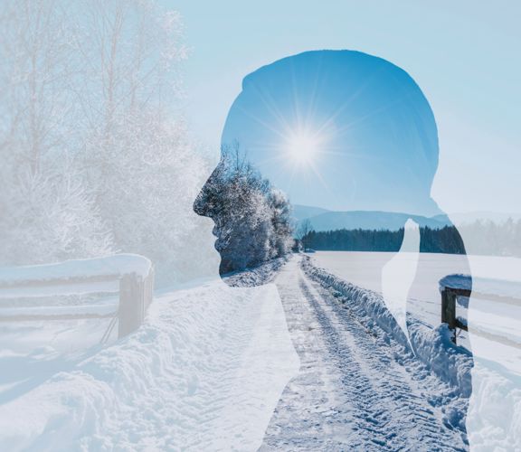 Sampo - Nordic Insurance Group